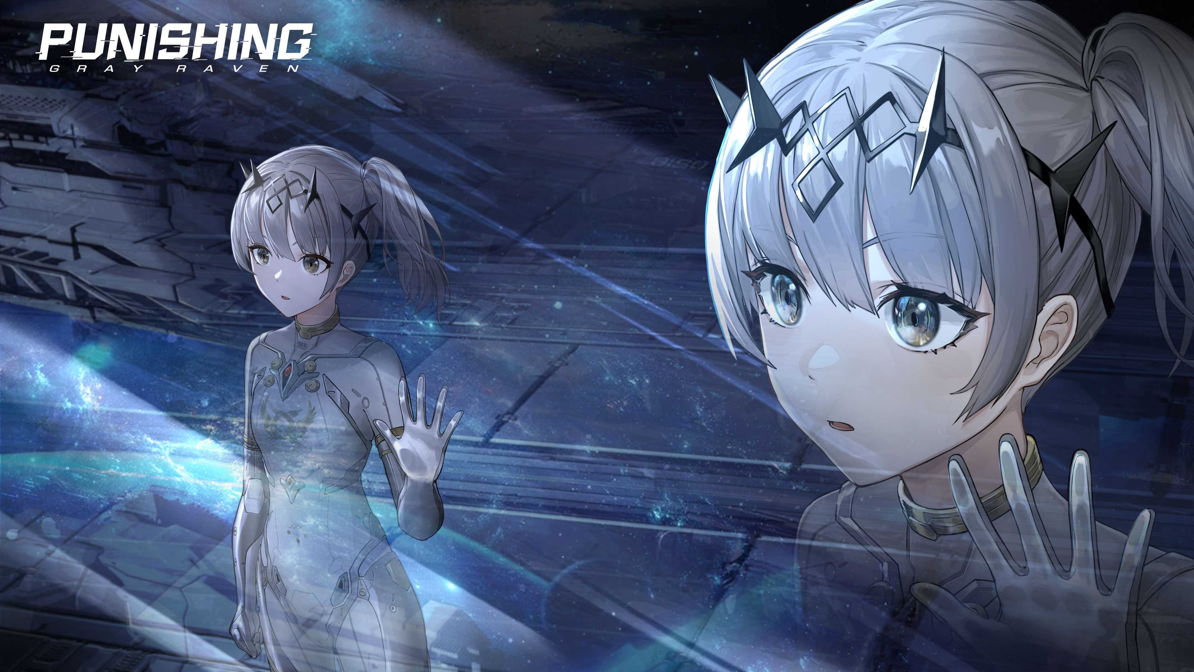 Punishing: Gray Raven