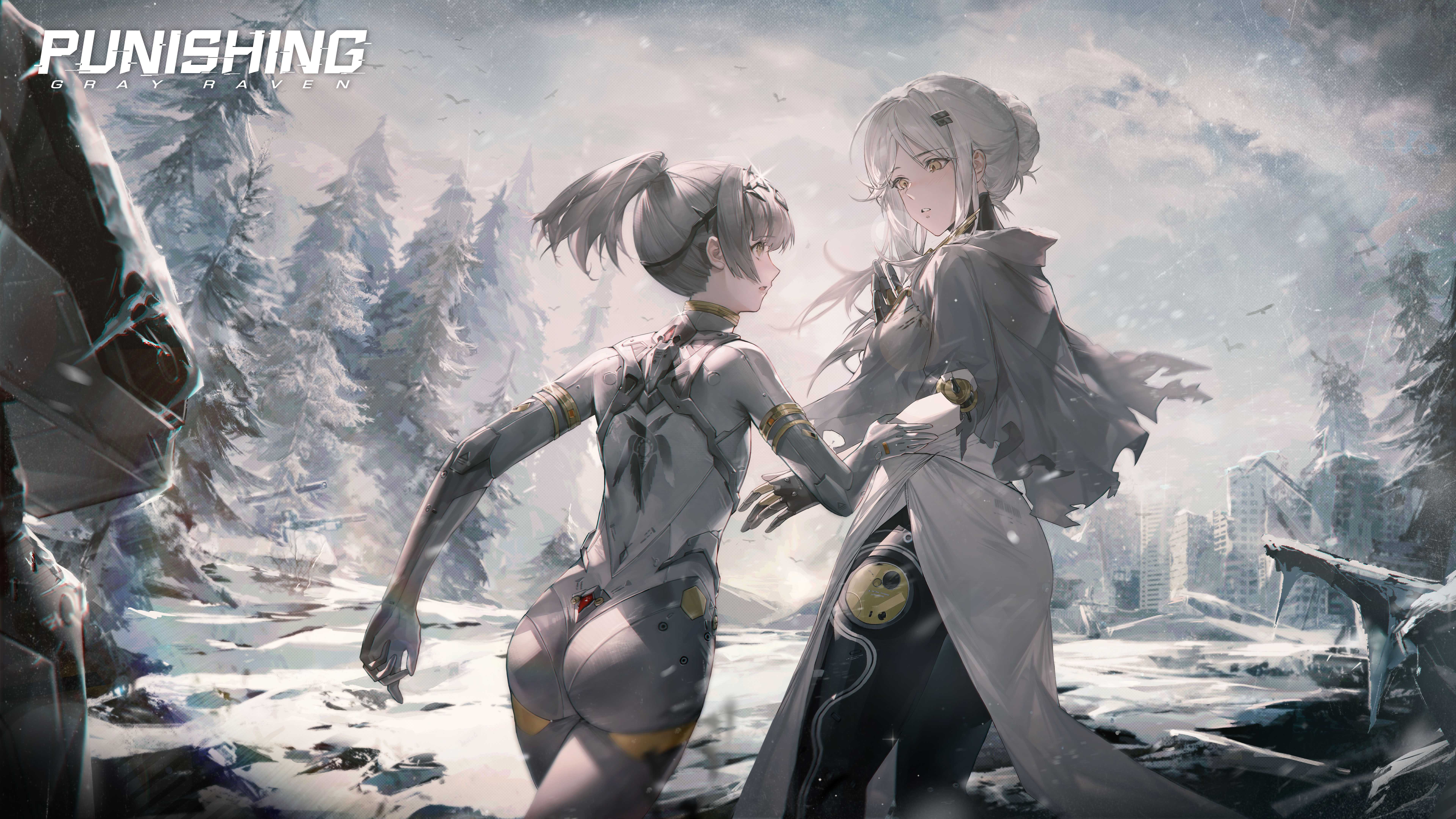 Punishing: Gray Raven